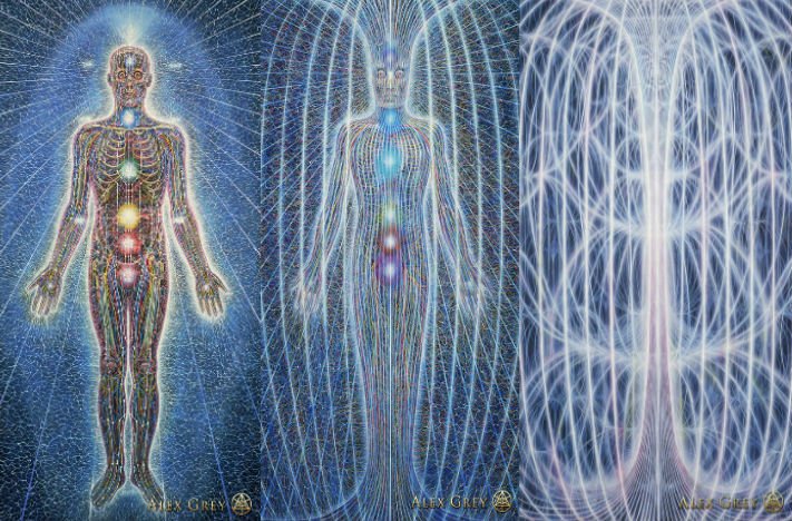 Integral Entheogens (Ep. 5) – Molecular Alchemy and the Evolution of ...