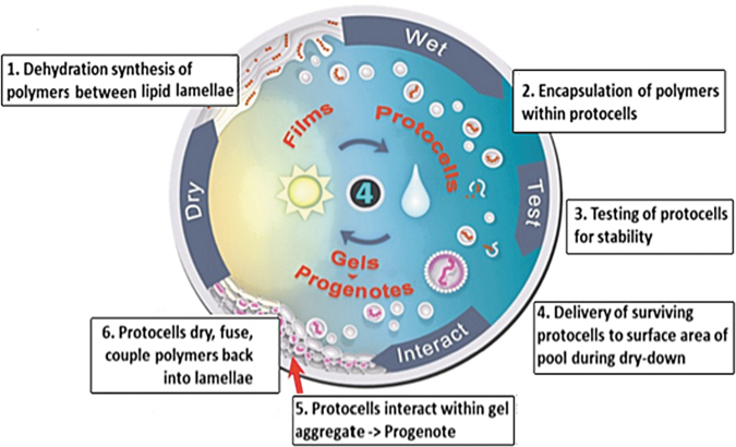 The Cosmological Context of the Origin of Life: Process Philosophy and ...